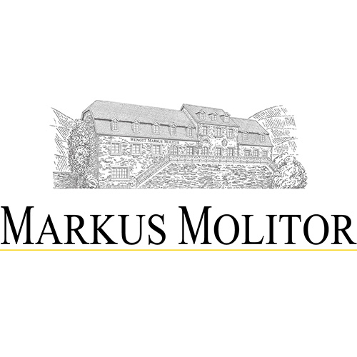 גרמניה – אחים שקד